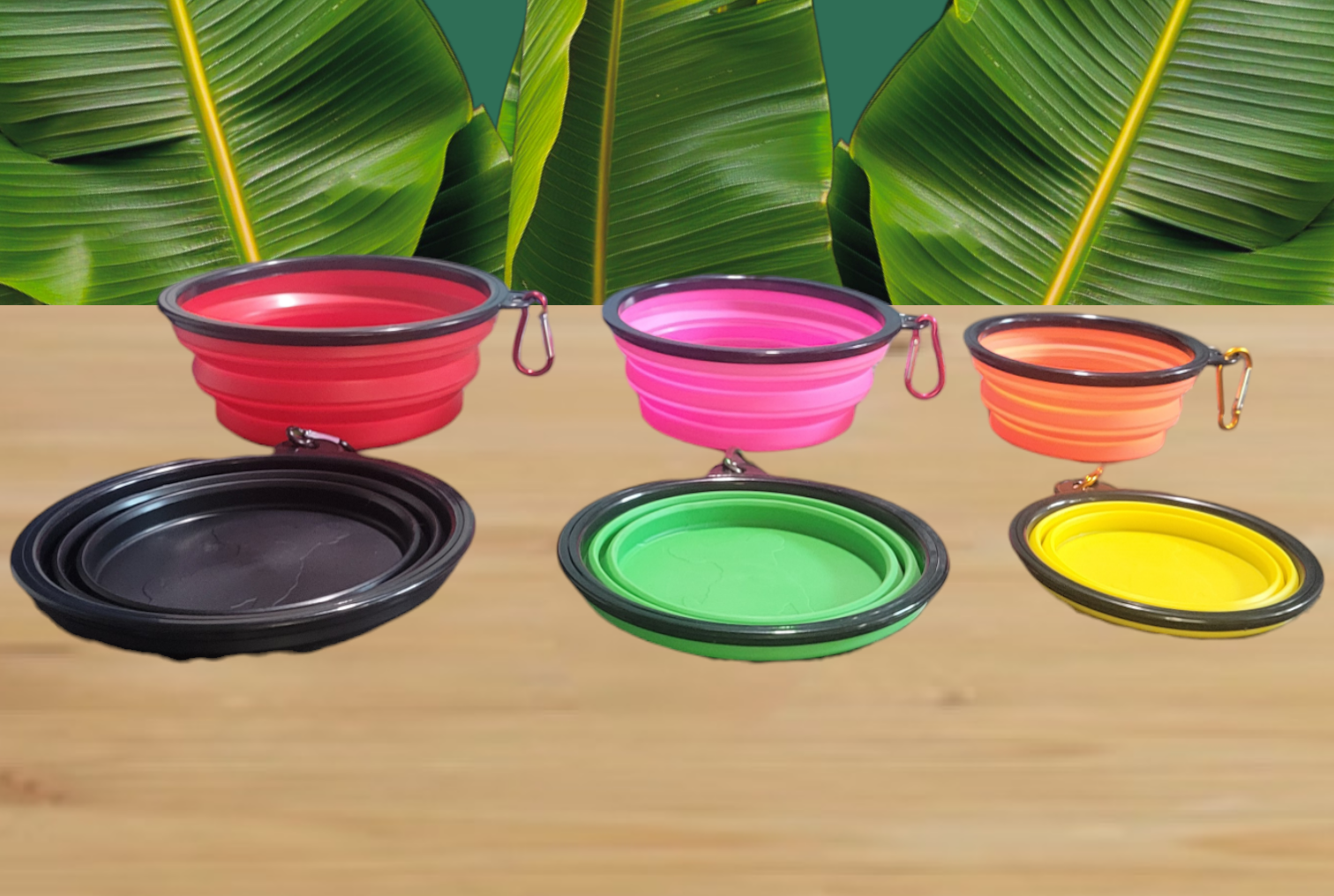 Collapsible Bowls – Cat Estate Plus